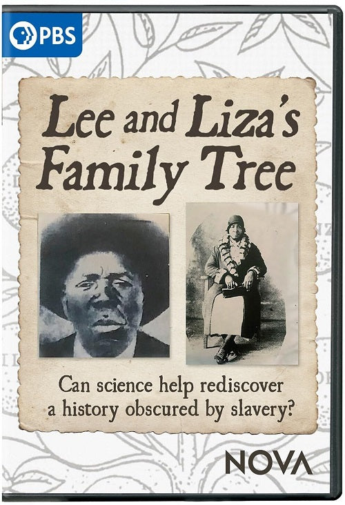 NOVA Lee And Lizas Family Tree & New DVD – Kishkash Entertainment