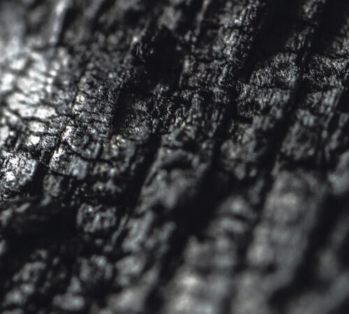 Parallel Worlds Plector New CD – Kishkash Entertainment